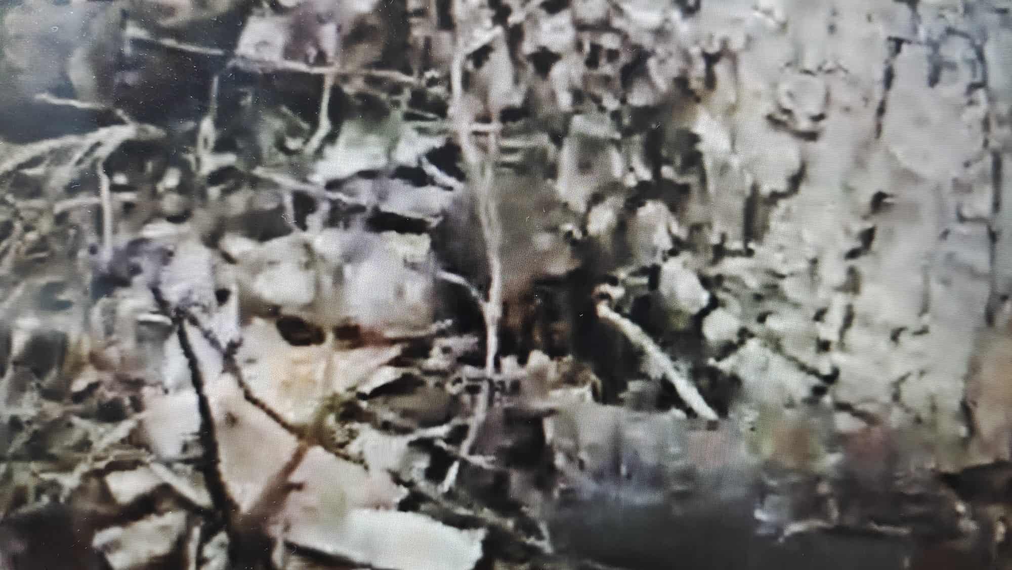 VIDEO. Imagini ȘOCANTE. O stradă întreagă din Cluj-Napoca, plină de ...