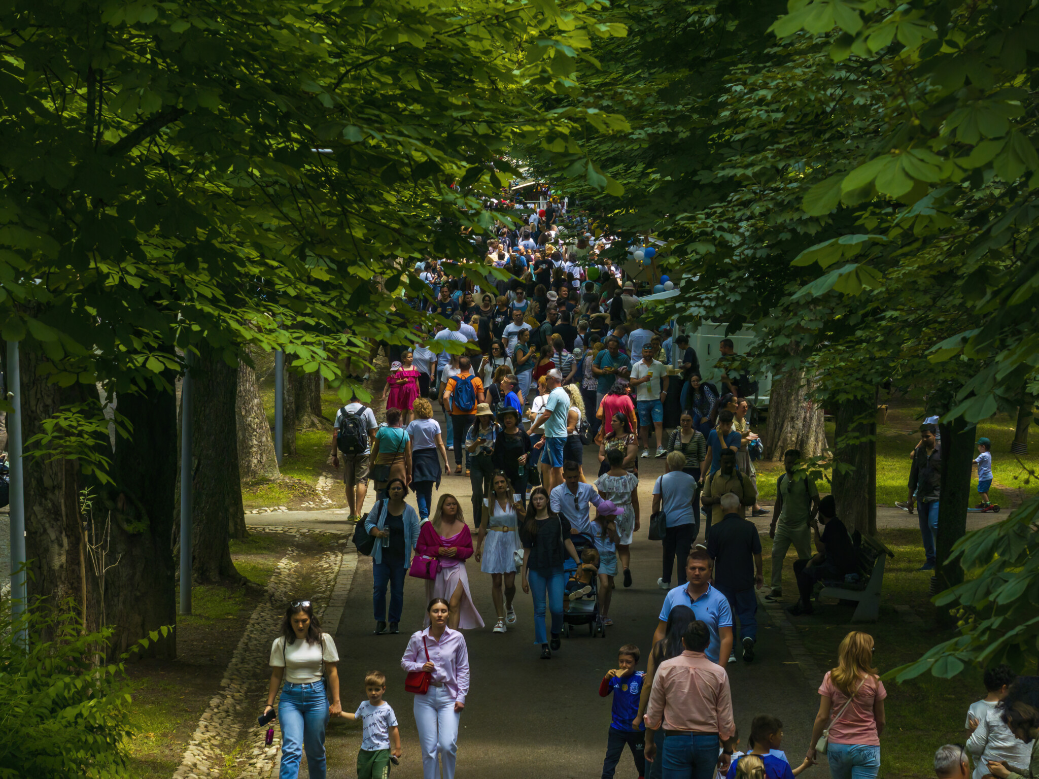 FOTO. Clujul acum peste 150 de ani. Bisericile Sf Mihail, Calvaria Sf Petru. Primul fotograf al ...